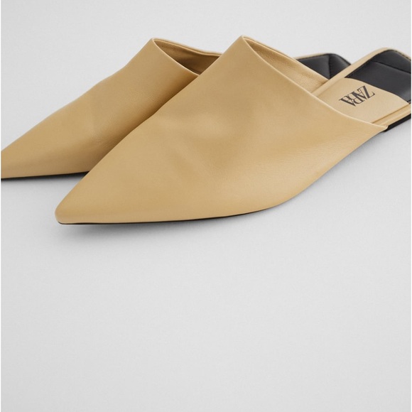 Zara | Shoes | Nwt Zara Low Heeled Pointed Toe Leather Mules | Poshmark